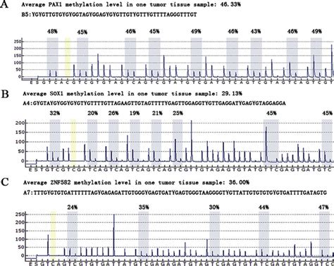 Pax1sox1znf582 Gene Dna Methylation Analysis Results By Download