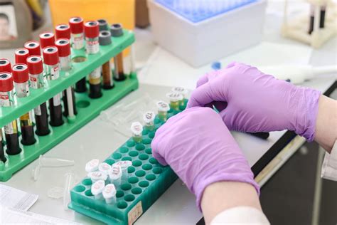 What S The Difference Between DNA And RNA
