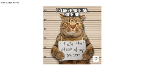 Insert Image In A Jupyter Notebook Data Science Parichay