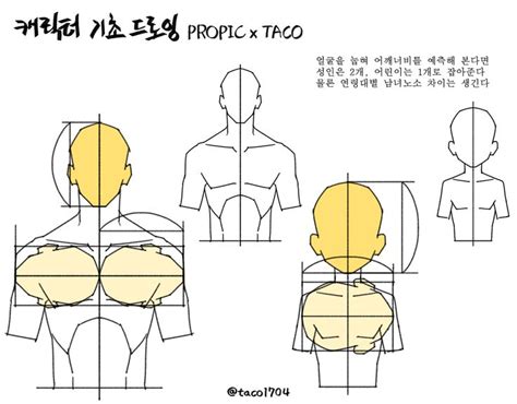 Anatomy에 있는 Kiwie님의 핀 해부학 강좌 체형 드로잉 드로잉 강좌