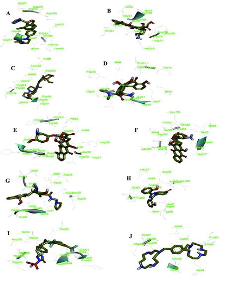 Binding Poses Predicted By Autodock 4 For Test Drugs A Terconazole Download Scientific