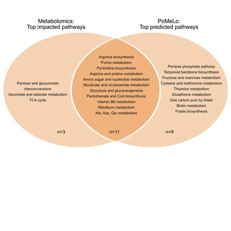 Venn Diagram Of Significant Metabolic Pathways Identified By Unbiased