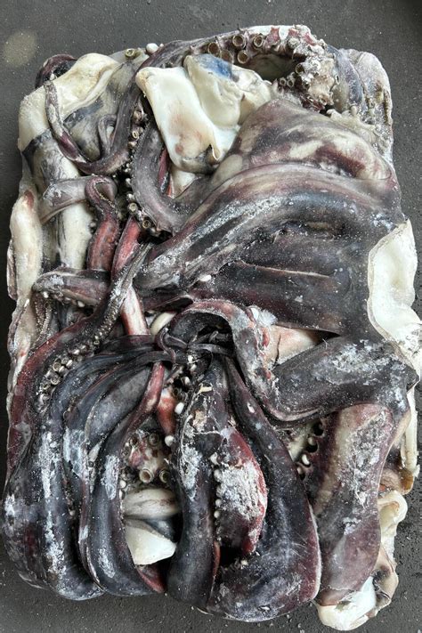 Frozen Giant Squid Tentacle Oceanseal Food