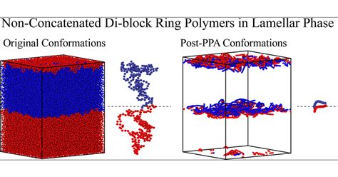 Molecular Simulations Revealing Effects Of Non Concatenated Ring