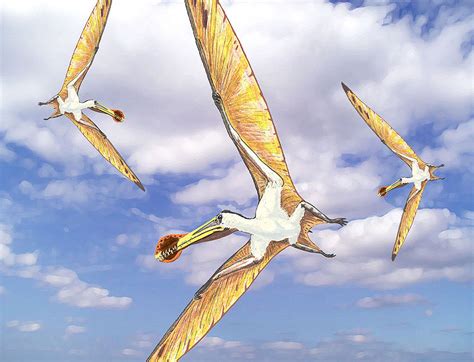 Az Ornithocerius A Levegő óriása Dinoszauruszok Földje A Magyar