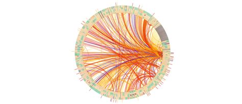 mapping patterns of information arquitectura viva