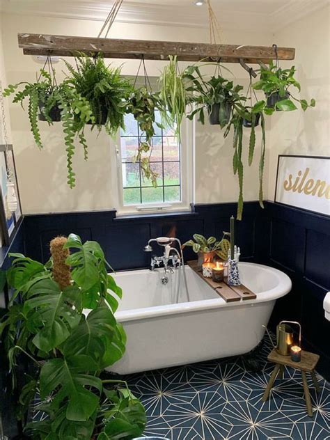 Home Interior Bathroom Plants For You Indoor And Hanging Plants