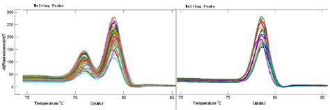 High Resolution Melting Curve Assay Genotyping Download Scientific