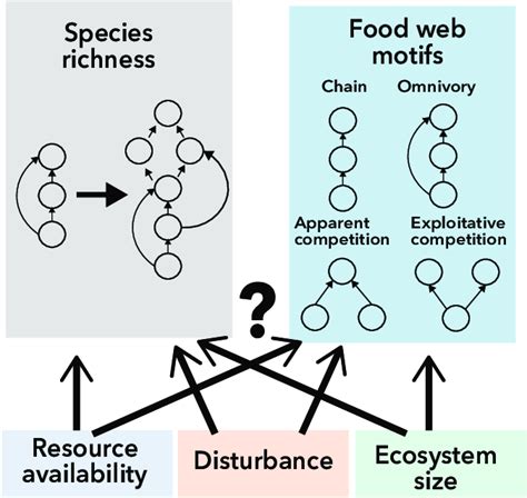Schematic Representations Of Research Questions Download Scientific