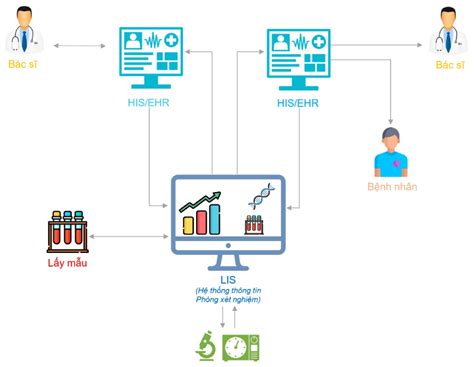 Tìm Hiểu Hệ Thống Lis Là Gì