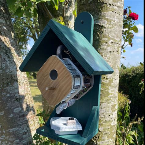 Bespoke Bird Boxes By Design Duchy Of Lancasterduchy Of Lancaster