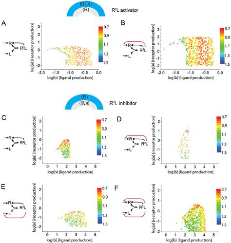 Comparison Of 2d Lung Displacement Fields As Obtained From Lung