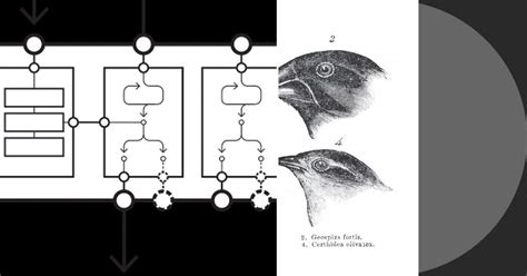 List Grasshopper 3d Curated By Aj Scheuble Medium