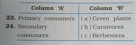 Begin Tabular L L Hline Multicolumn 1 C Column A And M