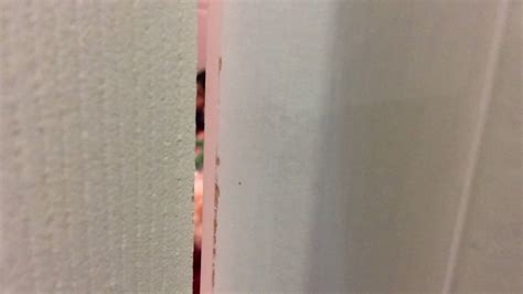 Spying On My Sister Youtube