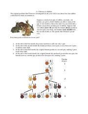 The Fibonacci Sequence And Rabbits Docx 1 1 Fibonacci S Rabbits The Original Problem That
