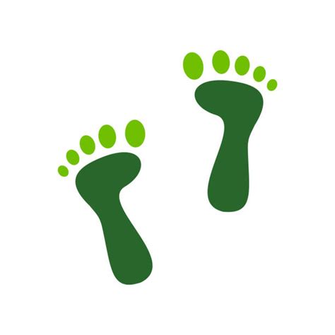 530 How To Draw A Footprint Cartoon Stock Illustrations Royalty Free