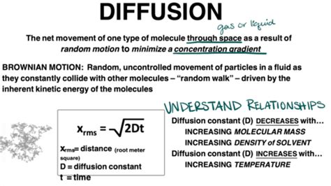 34 Diffusion Ad Dilution Flashcards Quizlet