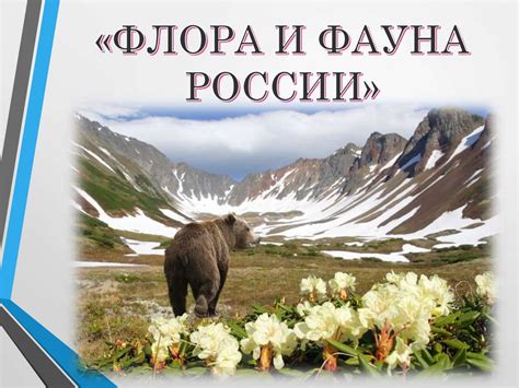 Викторина Флора и фауна России презентация онлайн