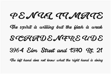 Nocarine Script Fonts Shmonts