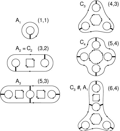 Canonical Projections Of Bounding Tori Of Genus G The Flow Around The
