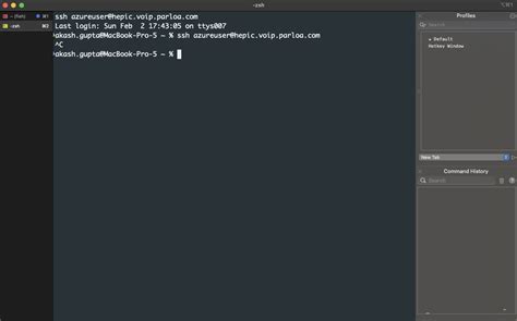 Easily Manage Ssh Access With One Click Iterm2 Profiles Ai And Voip Blog