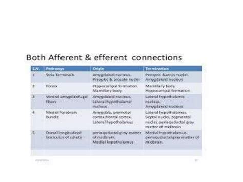Limbic And Paralimbic System Ppt