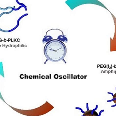 Bohan Wang Tsinghua University Beijing Th Institute Of Solid