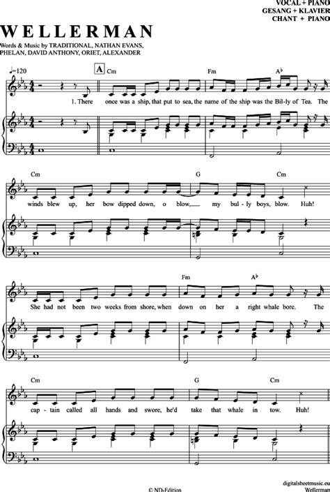 Flute Sheet Music Wellerman At Heidi Roscoe Blog
