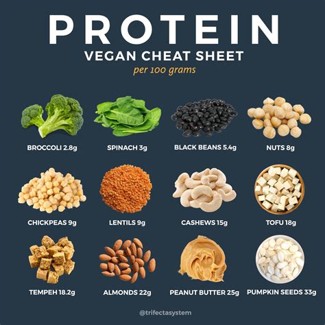 Vegetarian Food Protein Chart At Emma Gibney Blog