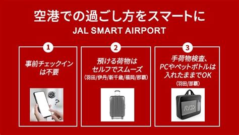 Jal 国内線航空券を予約 おトクな運賃を今すぐチェック！