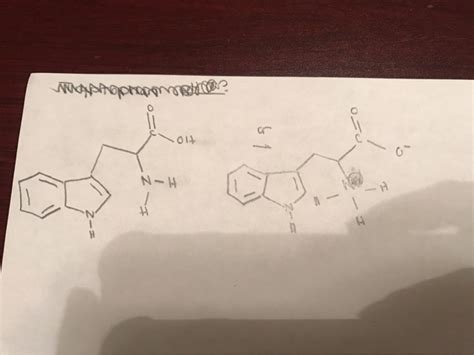 Tryptophan Structure At Ph 7