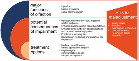 Consequences Of Olfactory Dysfunction Overview Of The Functions Of Download Scientific Diagram