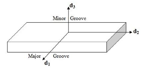 5 Local Orthonormal Coordinate System Imbedded In The Plane Of Each