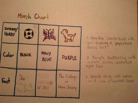 Morph Chart Purple Butterfly Hobby L Black And Navy