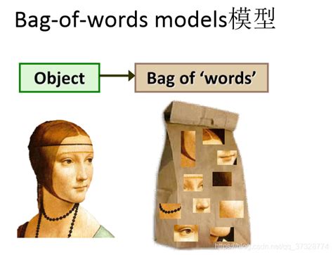 计算机视觉中的词袋模型 bag of words bag of words 计算机视觉 csdn博客