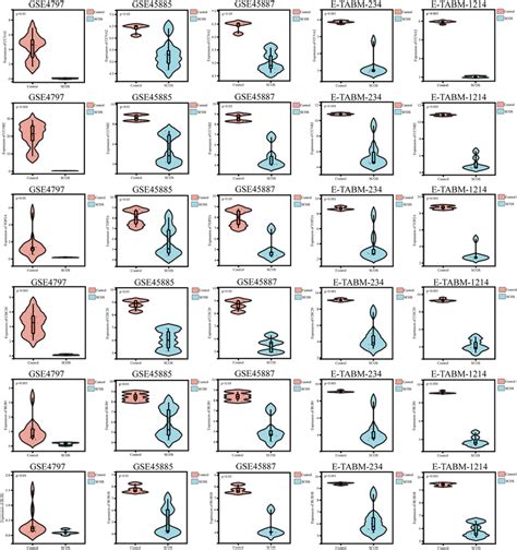 Validation Of Hub Genes In Microarray Datasets The Expression Of Hub Download Scientific