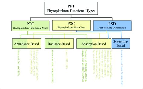 Schematic Of Various Phytoplankton Functional Type Pft Algorithms Download Scientific