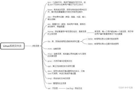linux基础：目录、文件操作与vi编辑器指南 csdn博客