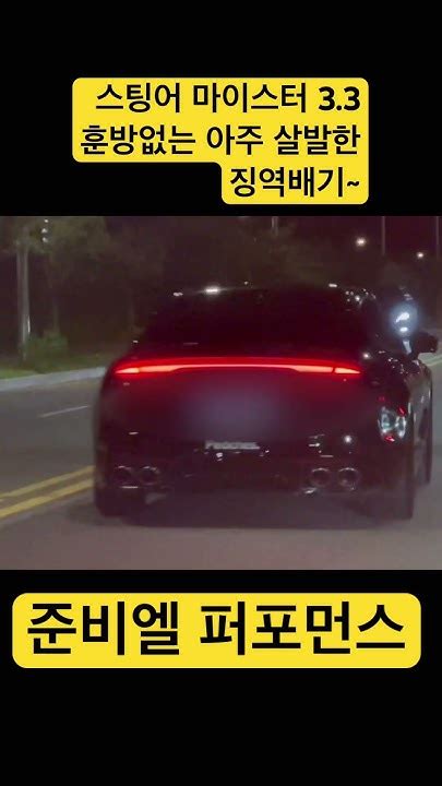 스팅어 마이스터 33 준비엘 퍼포먼스 인증배기줜나 인증받아버린 징역배기깔쌈하다 Youtube