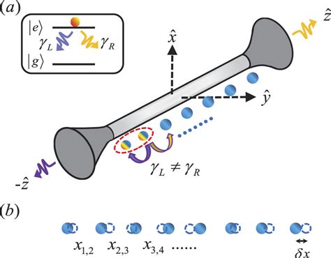 Schematic Chiral Coupled Atomic Chain With Single Excitation A A 1d Download Scientific