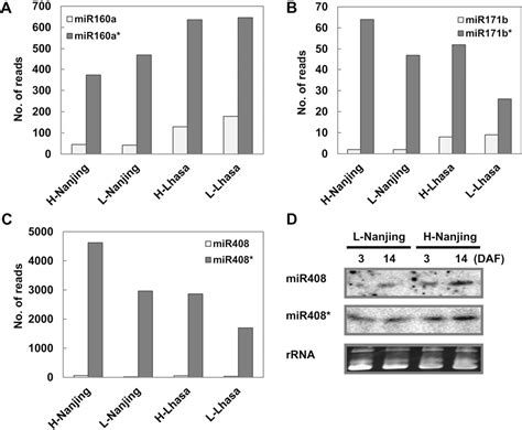 Figure From Small RNA Profiling In Two Brassica Napus Cultivars Identifies MicroRNAs With Oil