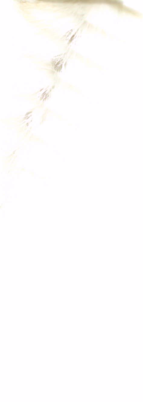 Journal For Art Sex And Mathematics Blog Archive