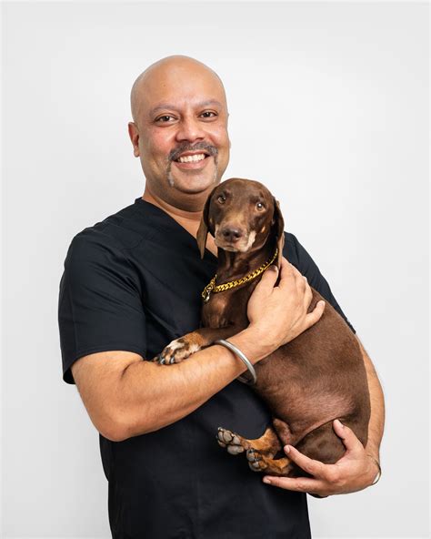 Dog Anal Gland Expression A Comprehensive Guide