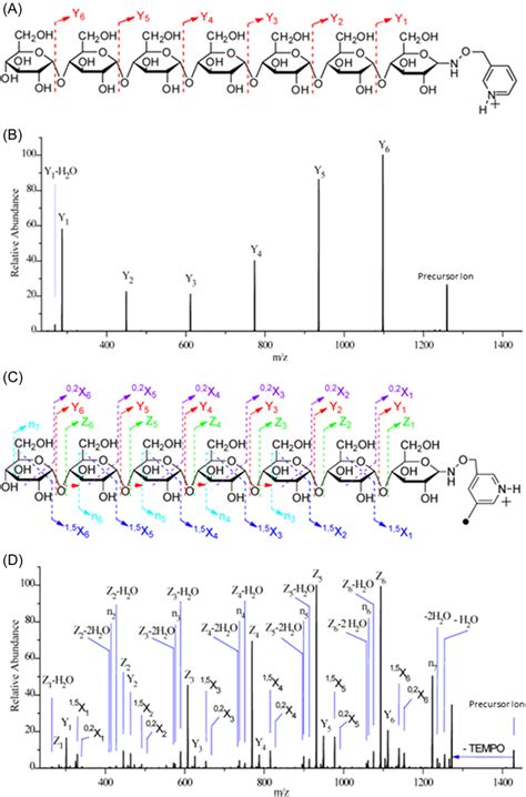 A The Fragmentation Patterns Observed Following The Cid Of The Download Scientific Diagram