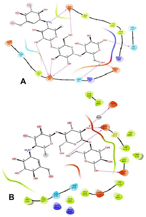 Depicts A 2d Interaction Of Alpha Glucosidase And Acarbose A Enlarged