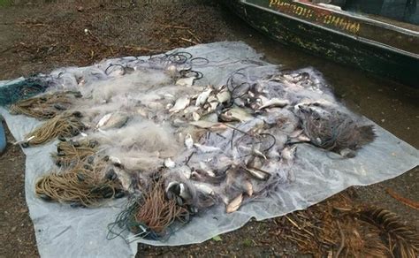 За два дні — понад 2 мільйони гривень збитків Решетилівщина Ua