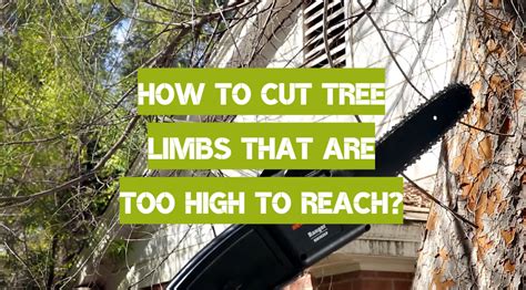 How To Cut Tree Limbs That Are Too High To Reach PoleSawGuide