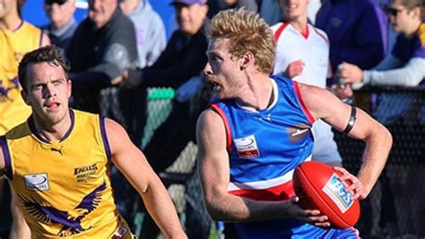 Efl Jason Want Josh Allison Michael Platten Link With Fairpark Herald Sun