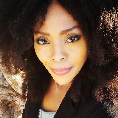 Categoryformer Dharmann Wiki Fandom